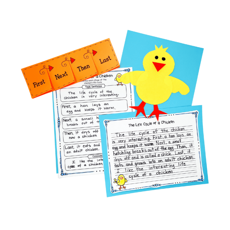How to Hatch Chicks in the Classroom 101 - Primary Flourish